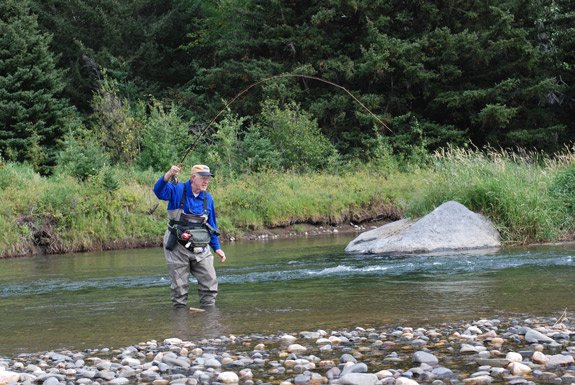 Catch Large Trout from Undercut Banks - Expert Tips