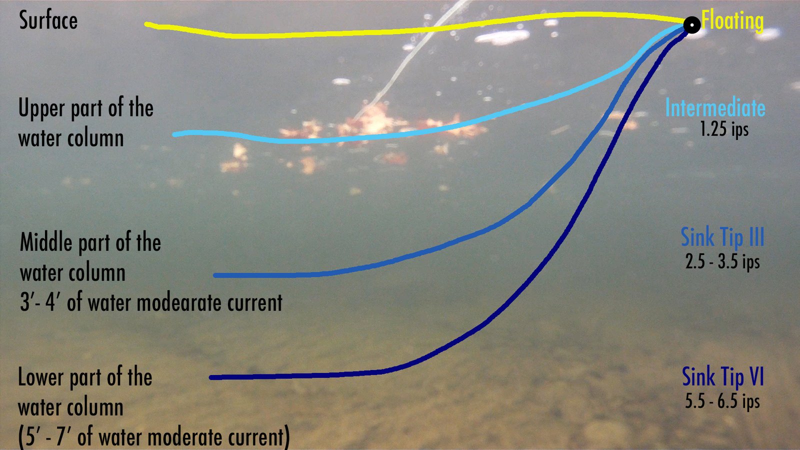 Understanding Sinking Fly Fishing Lines: Sink Rates, Styles, and When ...