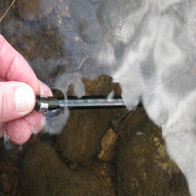 Optimize Your Fishing with a Stream Thermometer