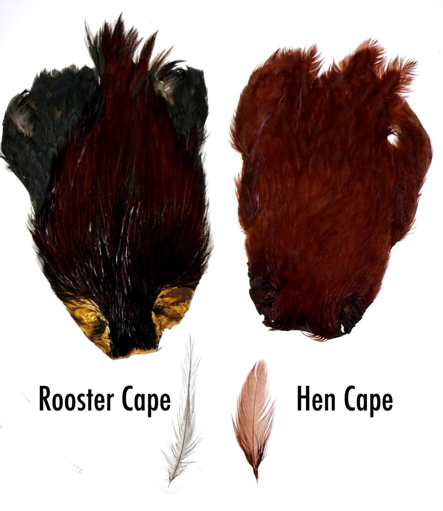 Hen Hackle vs. Rooster Hackle: What’s the Difference? - The View From ...